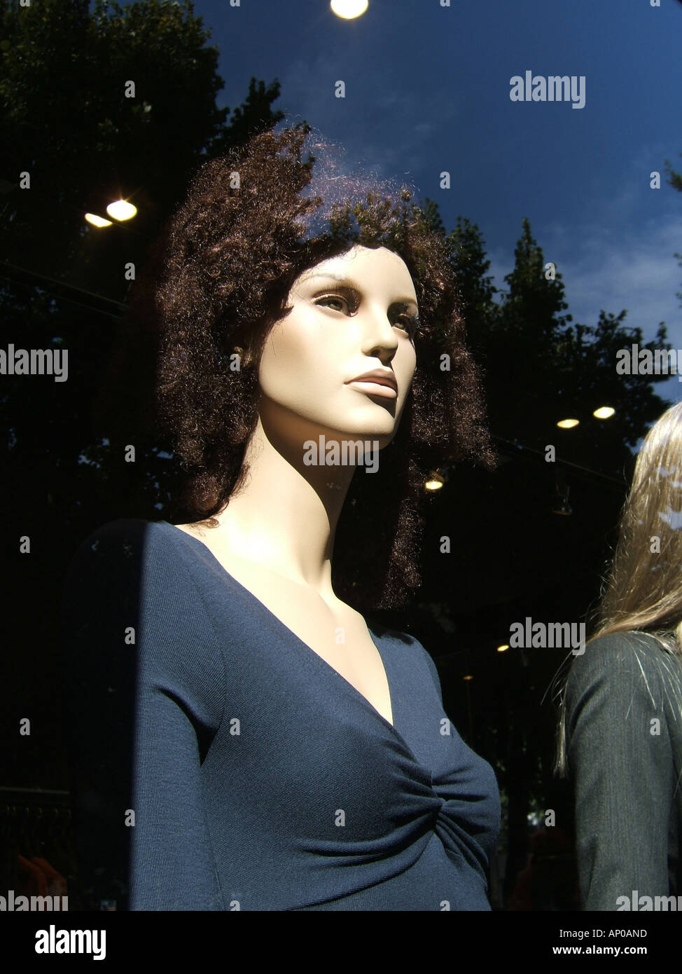 mannequin in shop window Stock Photo - Alamy