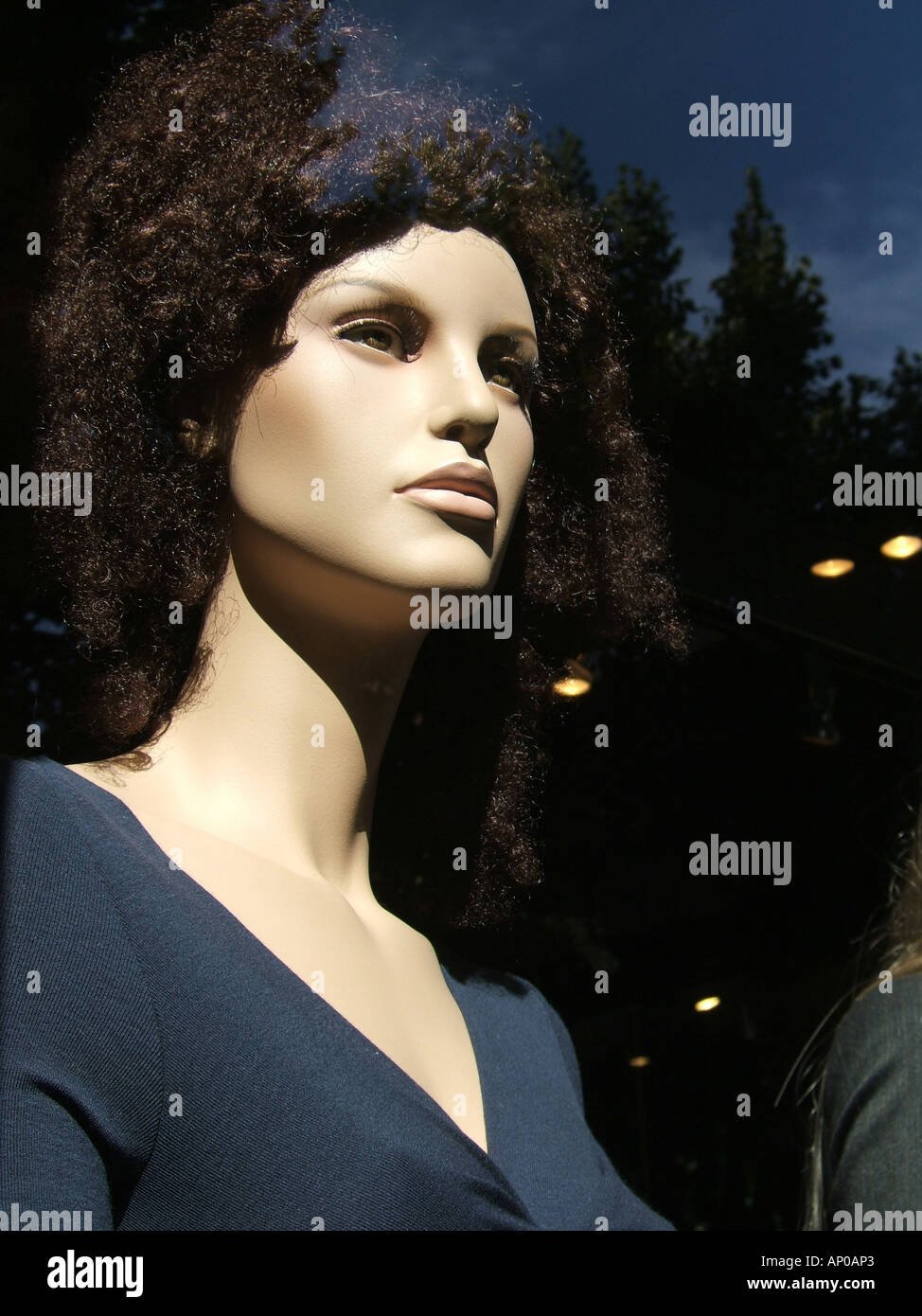 mannequin in shop window Stock Photo - Alamy