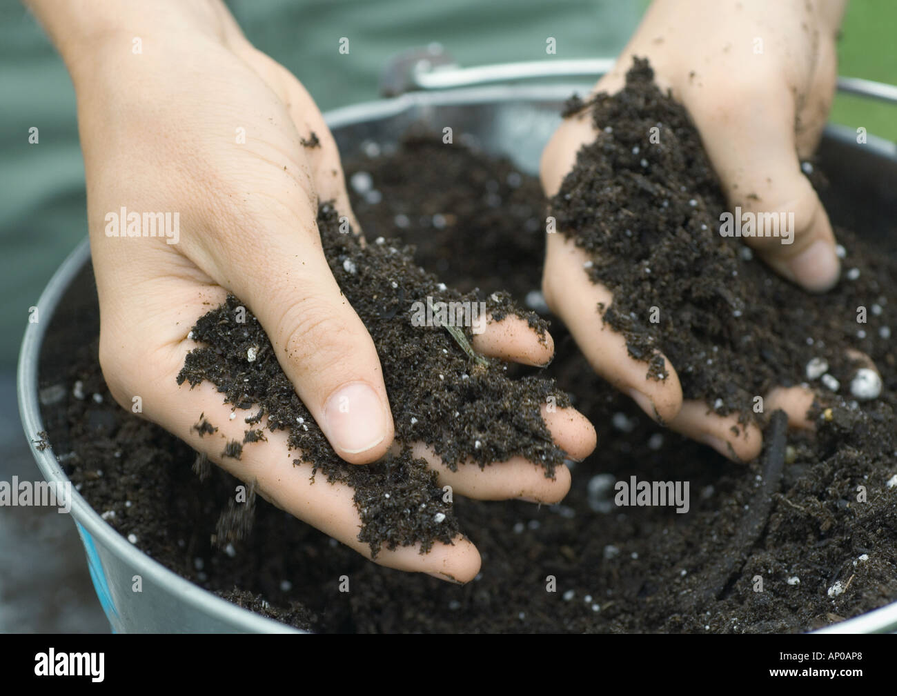 Hands feeling soil in bucket Stock Photo - Alamy
