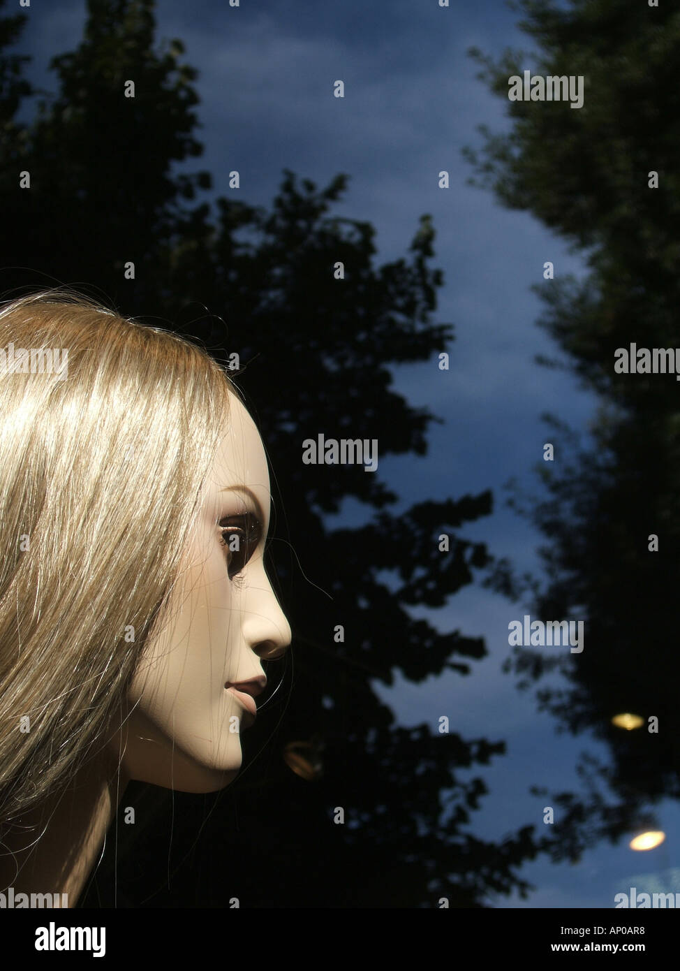 mannequin in shop window Stock Photo - Alamy