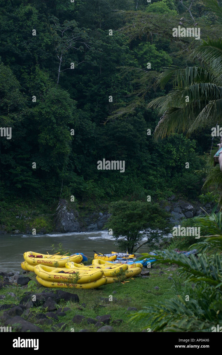 Inflatable rafts on Pacuare River Costa Rica Stock Photo - Alamy
