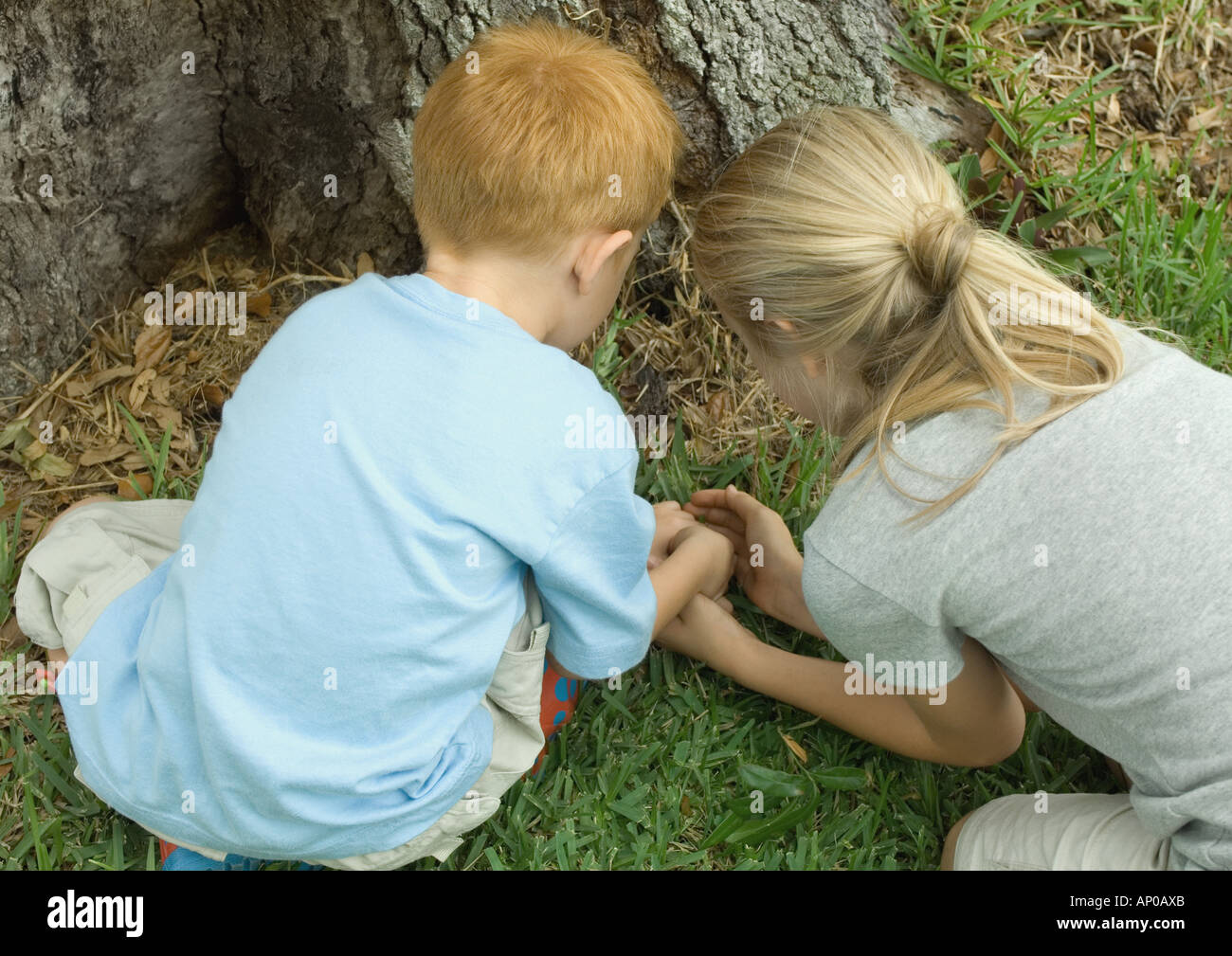 Two children catching small animal at base of tree Stock Photo - Alamy