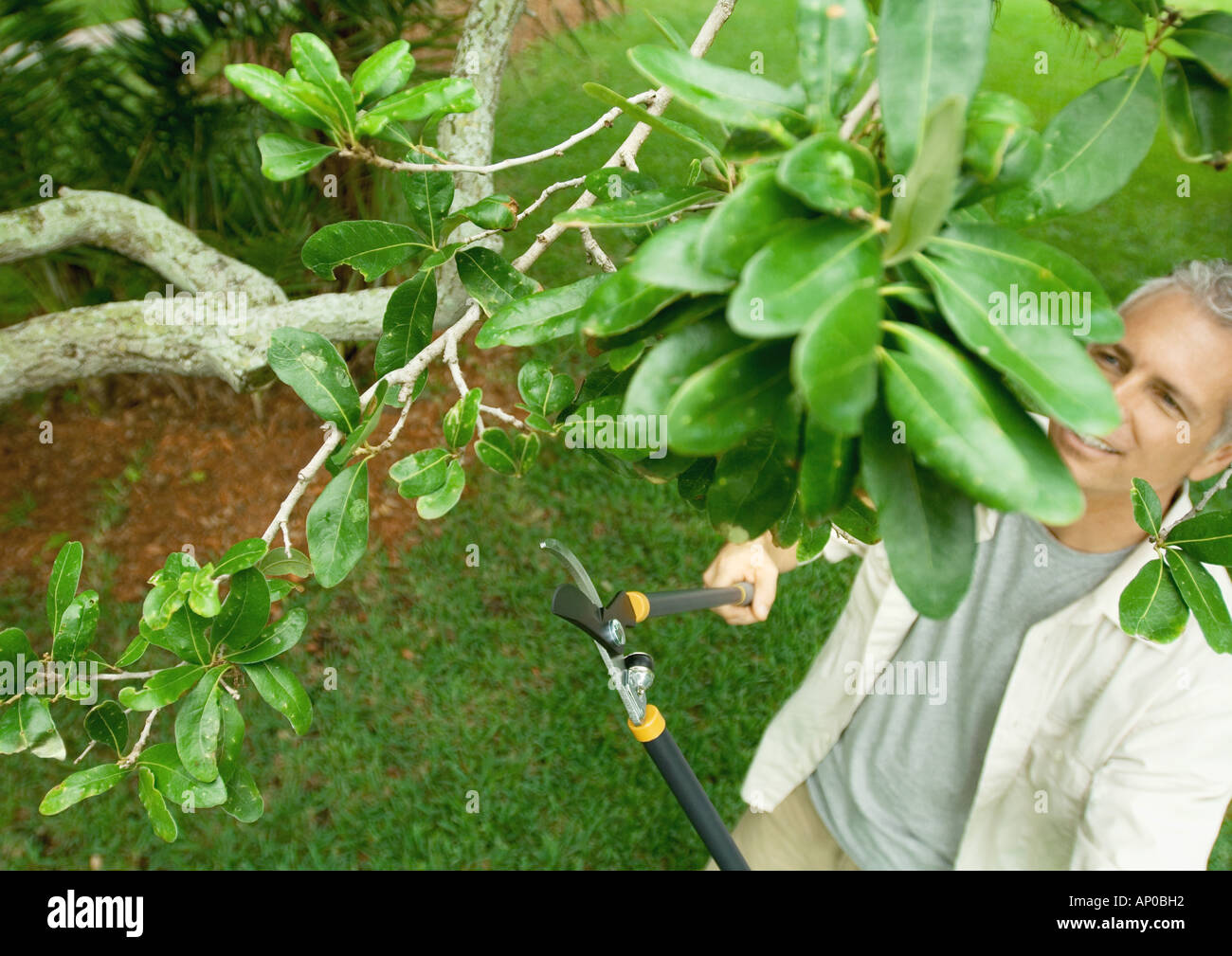 Care of tree hi-res stock photography and images - Alamy
