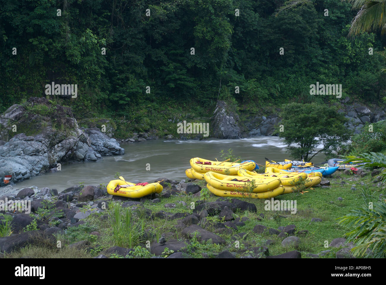 Inflatable rafts on Pacuare River Costa Rica Stock Photo - Alamy