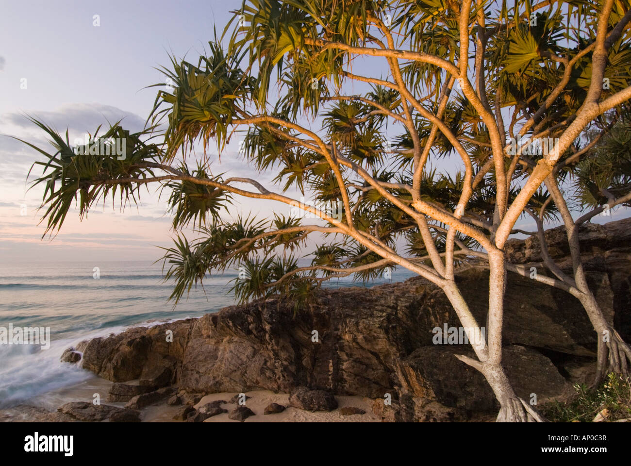 Adder Rock N Stradbroke Island Queensland Australia Stock Photo - Alamy