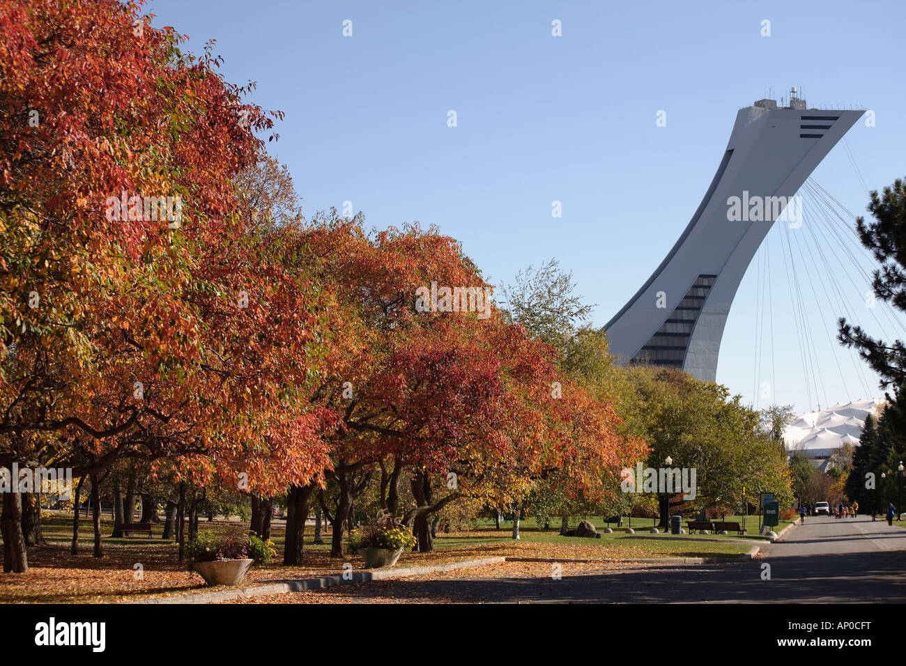 Olympic Tower and autumn trees in the Botanical Garden. Montreal ...