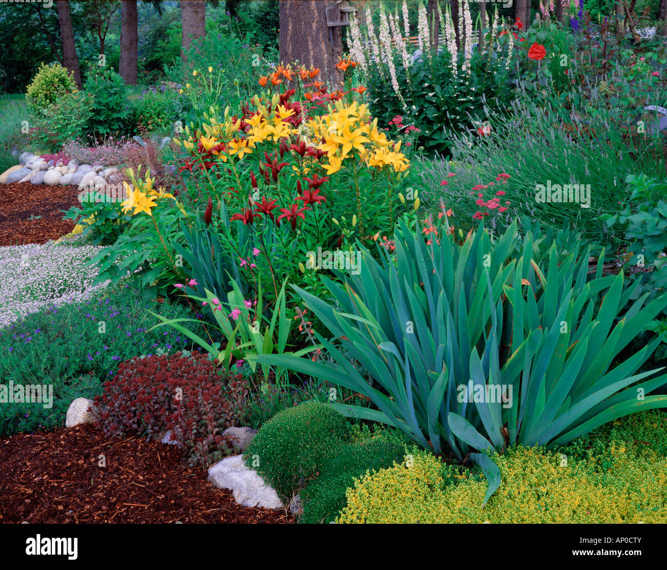 Plants pacific northwest border hi-res stock photography and images - Alamy