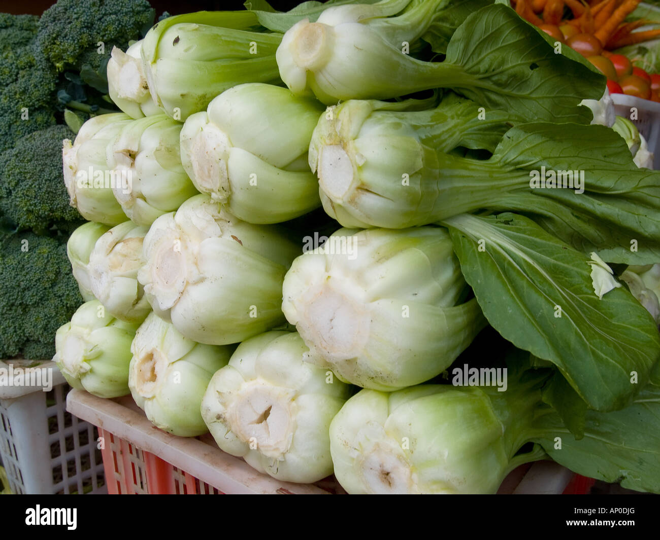 Bok Choy, Chinese cabbage Brassica rapa is a Chinese leaf vegetable ...