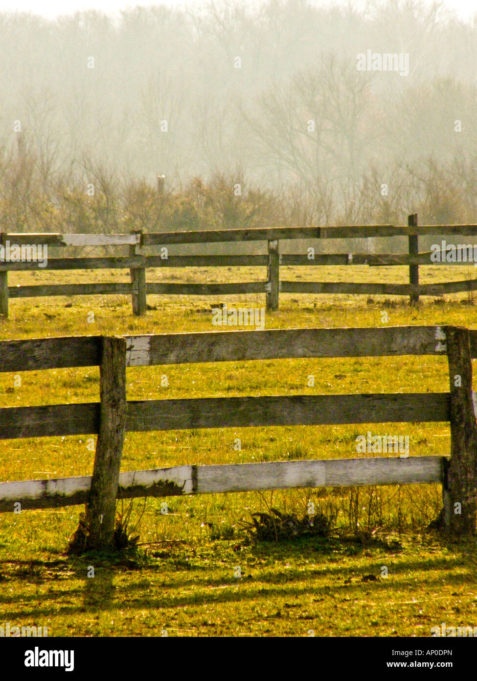 A wooden fence set up around a horse corral in the Maryland countryside ...