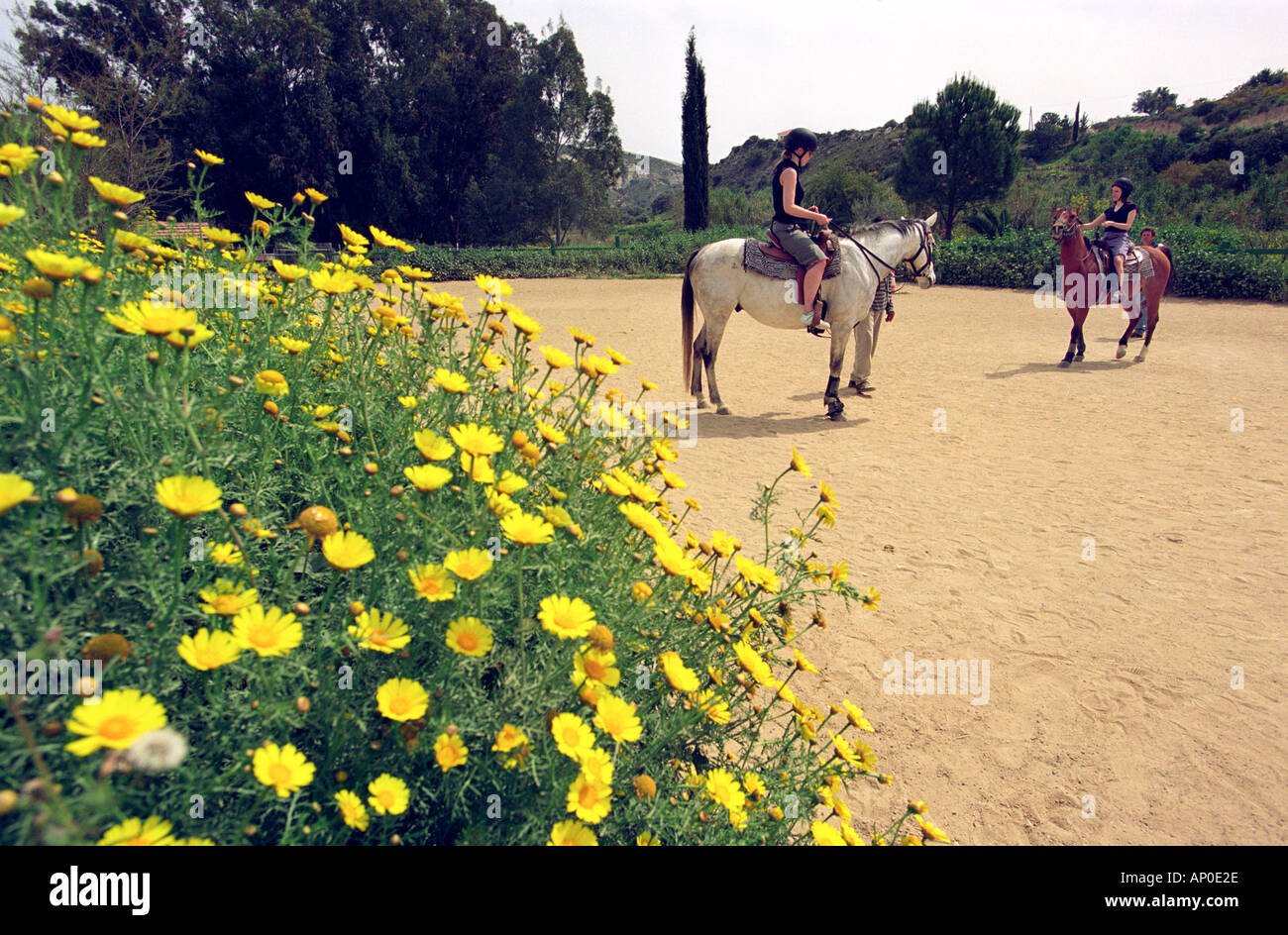 Cyprus horse riding hi-res stock photography and images - Alamy