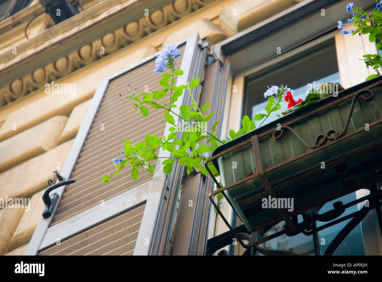 Flower box in Rome, Italy Stock Photo - Alamy