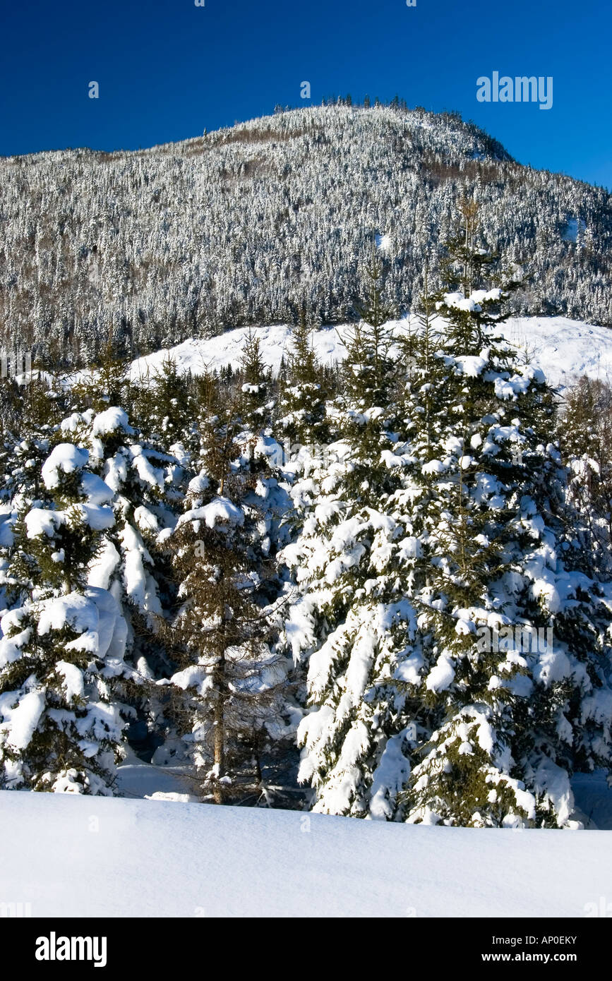 Quebecfoto hi-res stock photography and images - Alamy