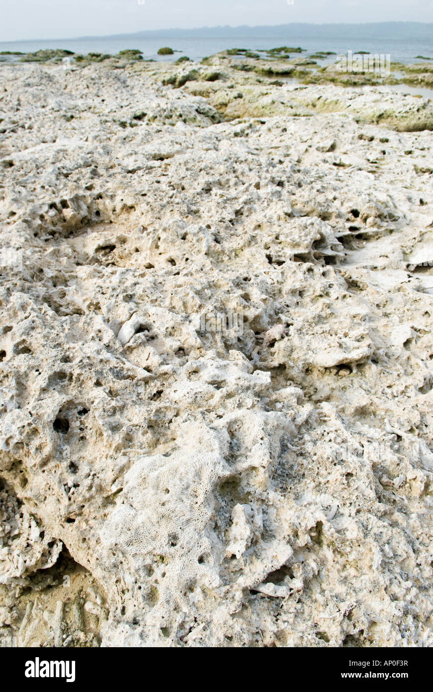 Uplifted limestone islands hi-res stock photography and images - Alamy