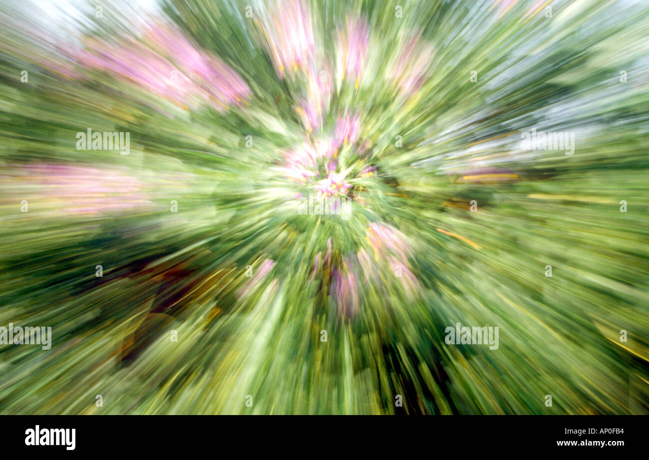 Potato background zoom hi-res stock photography and images - Alamy