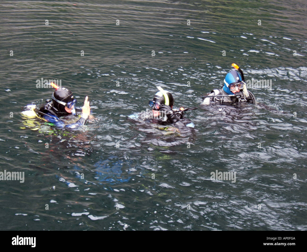 three divers in cold lake Stock Photo - Alamy