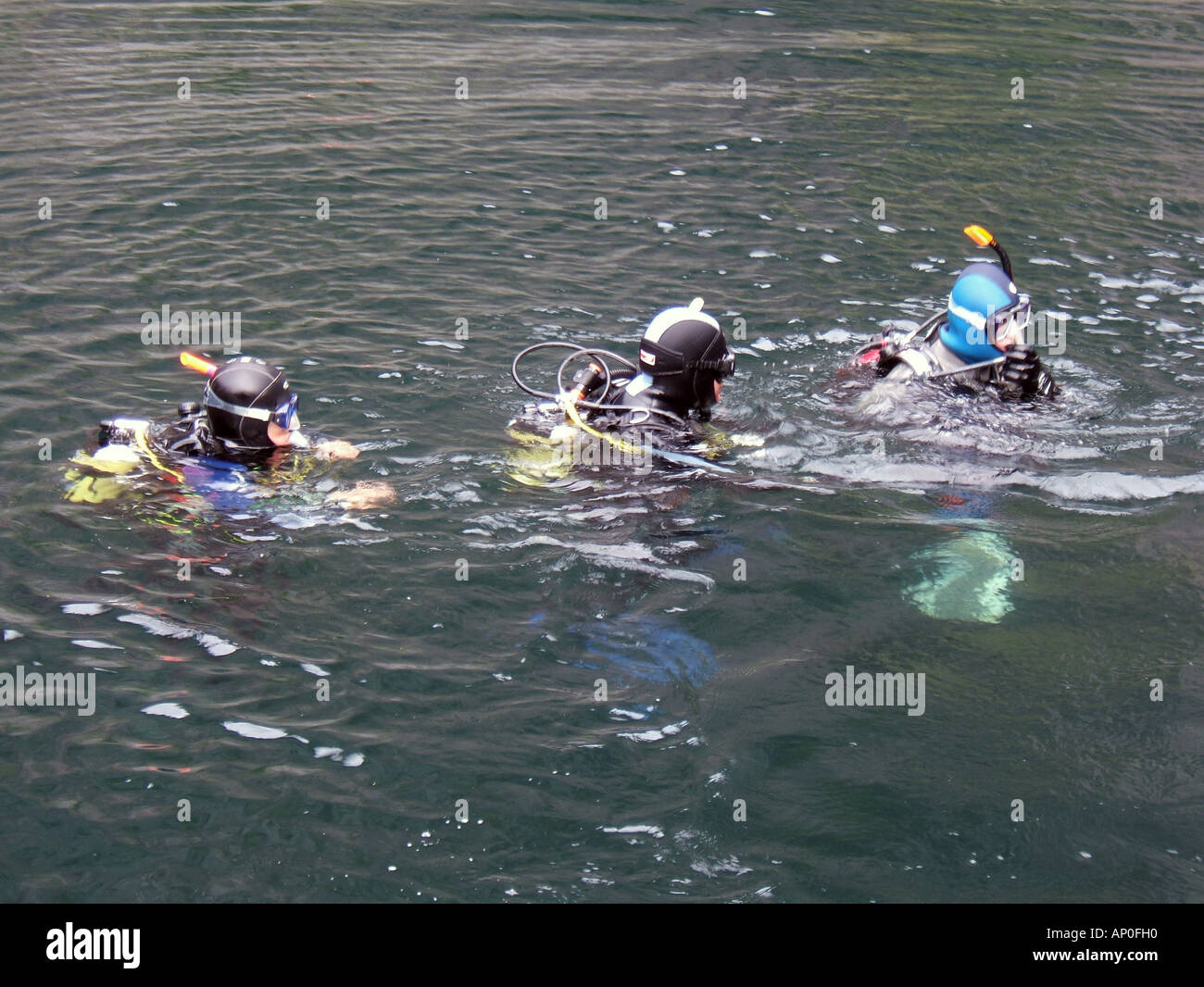 three divers in cold lake Stock Photo - Alamy