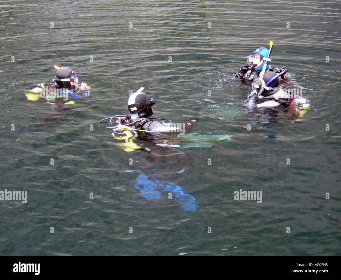 three divers in cold lake Stock Photo - Alamy