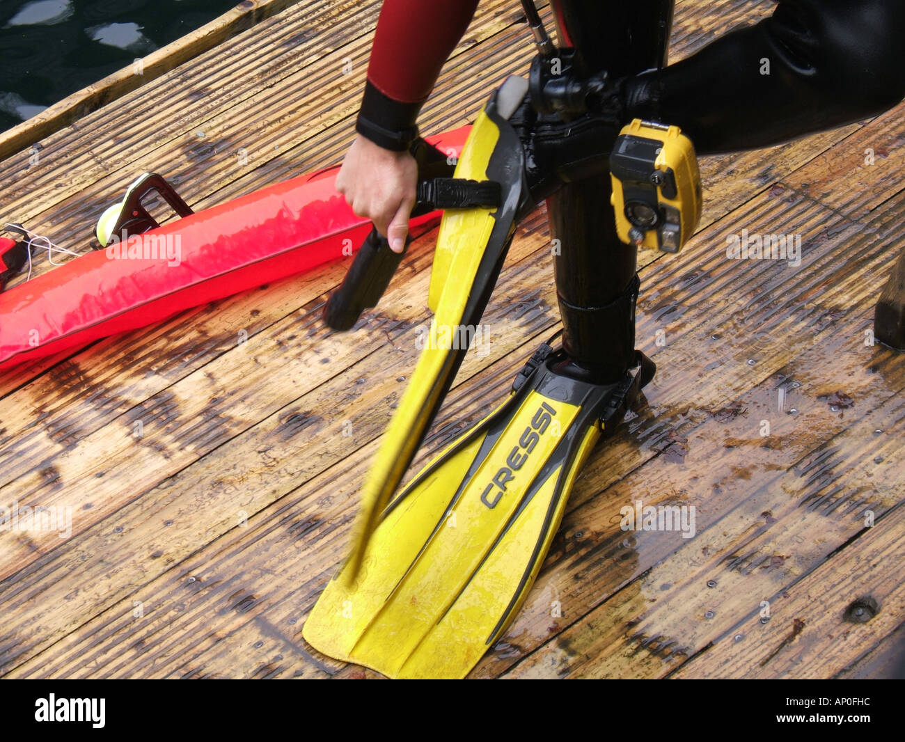 detail of divers feet and flippers Stock Photo - Alamy