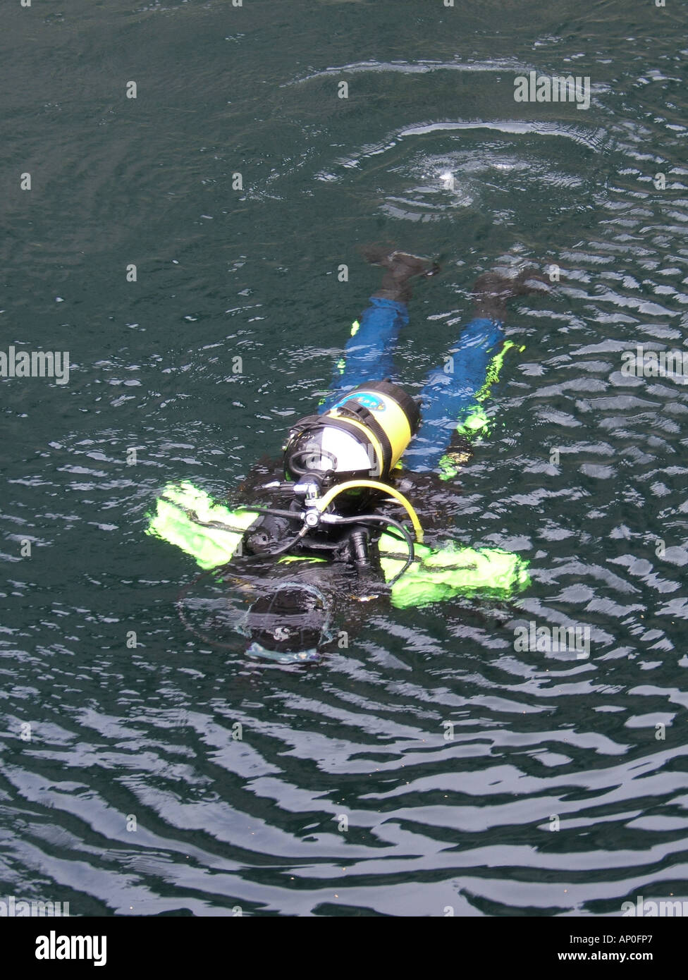 one diver in cold lake Stock Photo - Alamy