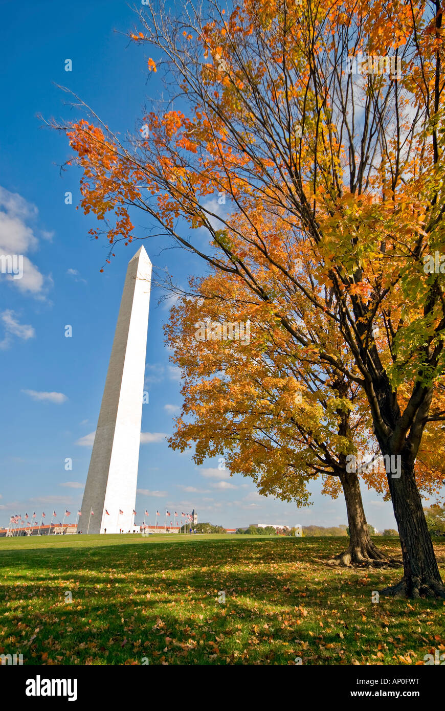Washington Monument and fall foliage on the National Mall Stock Photo ...