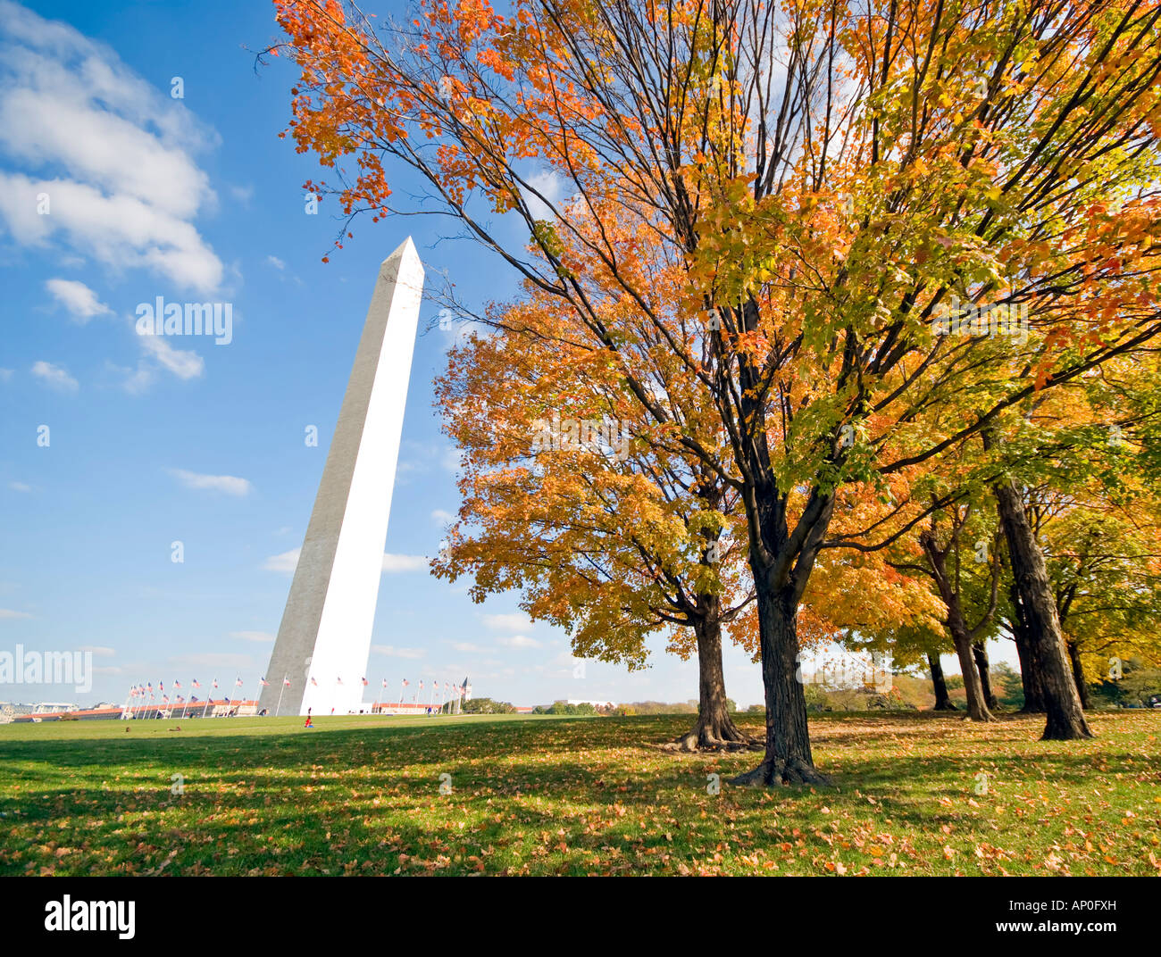 Washington Monument and fall foliage on the National Mall Stock Photo ...