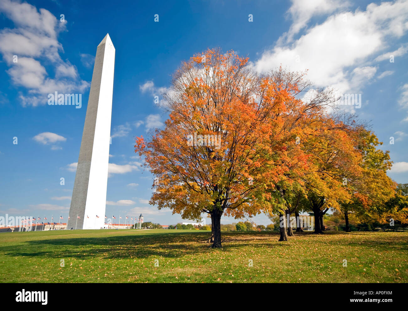 Washington Monument and fall foliage on the National Mall Stock Photo ...