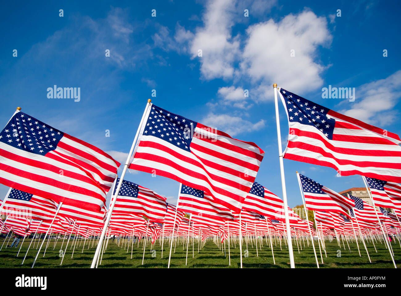 Many American flags on the National Mall in Washington DC Stock Photo ...