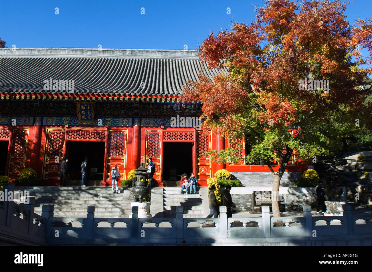 autumn colours at a temple in Fragrant Hills Park in the Western Hills ...
