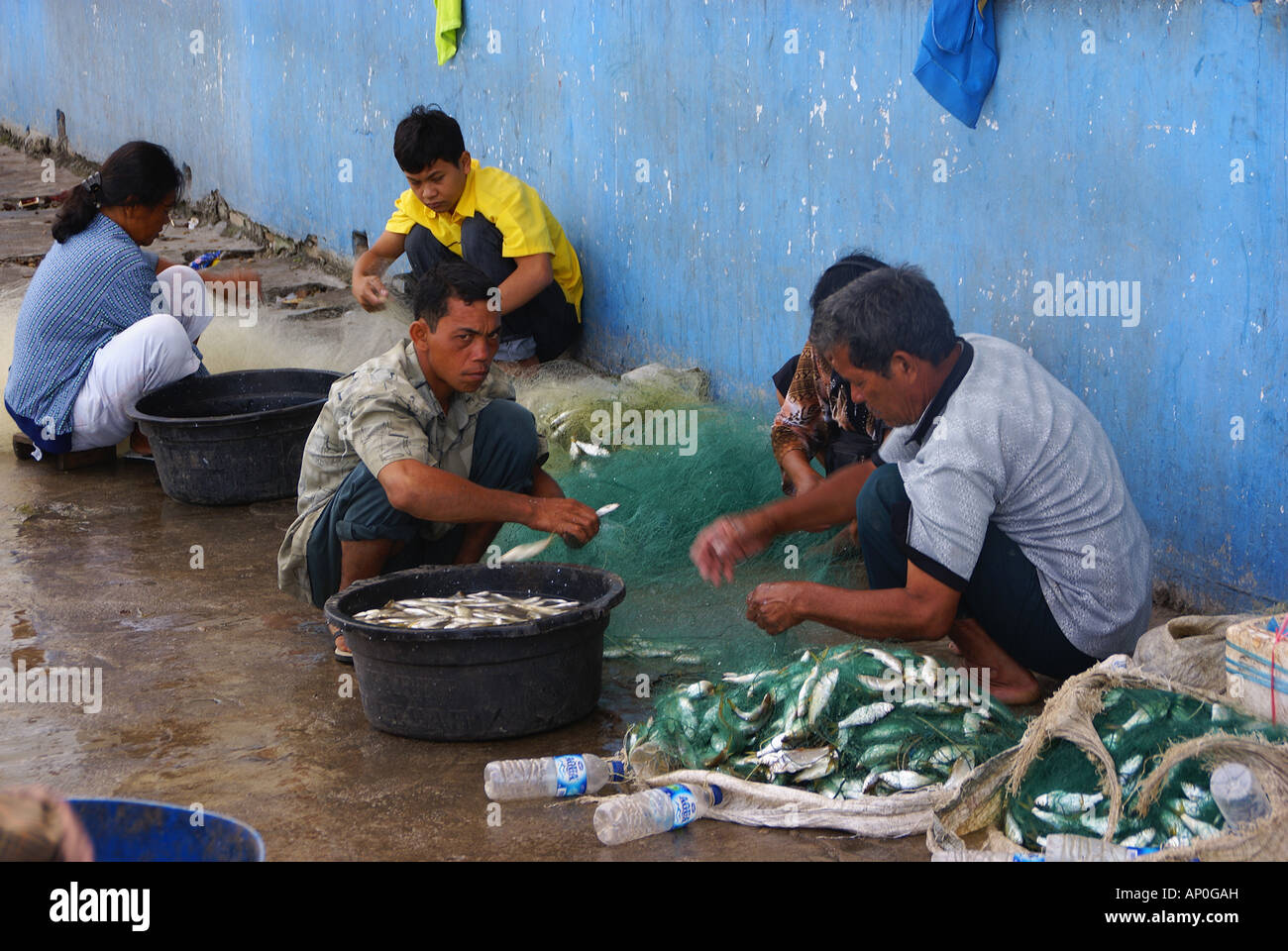 Batak people sort the freshwater fish from the nets after a successful ...