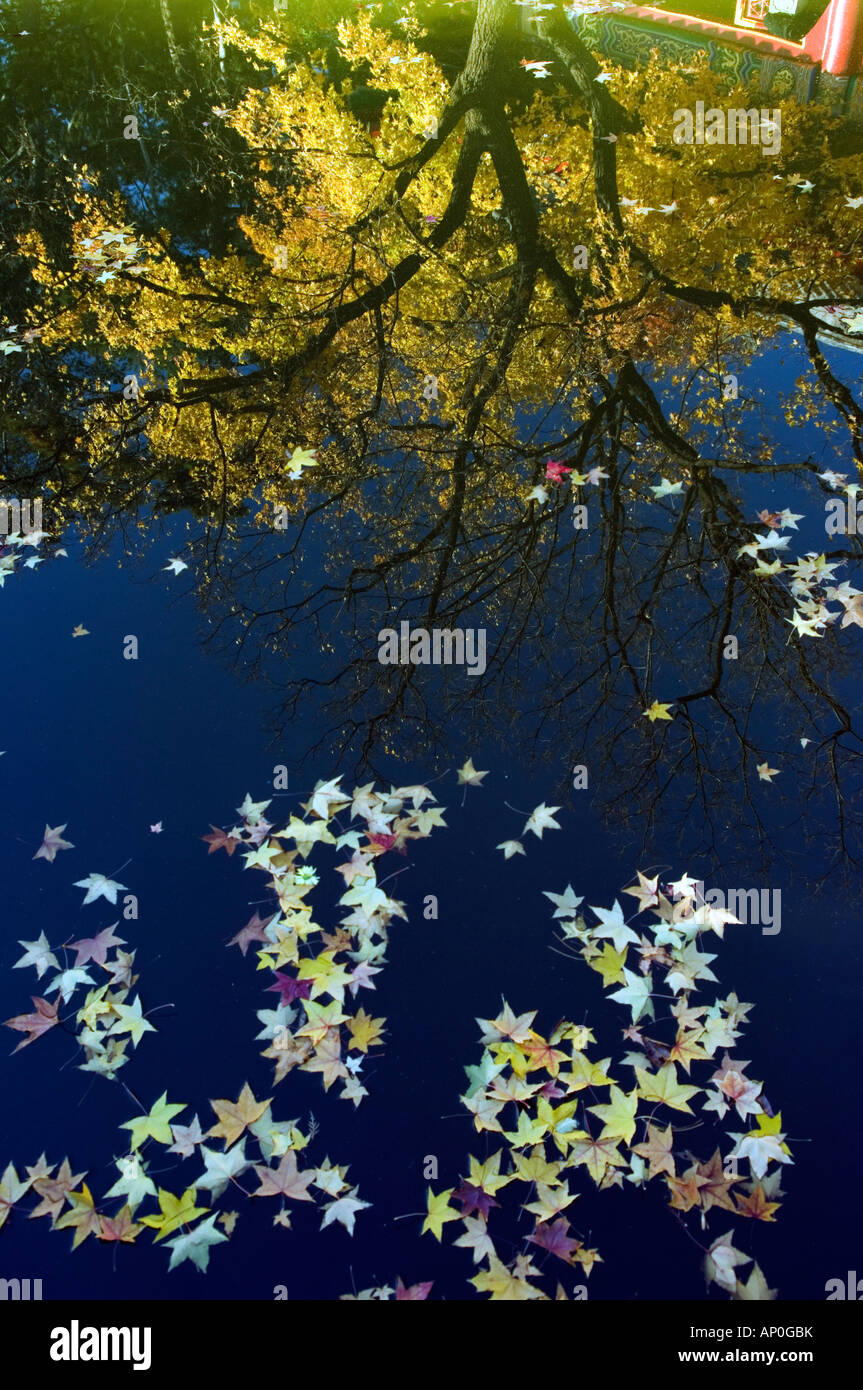 Fragrant hills park beijing autumn hi-res stock photography and images ...