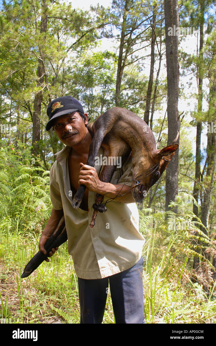 Batak tribesman carrying a recently trapped deer . The Batak are the ...