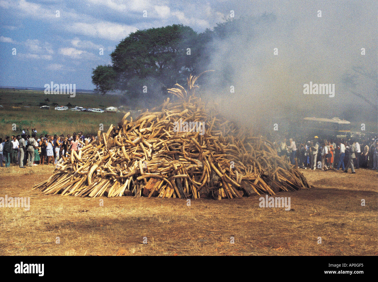 1989 Africa Tourism High Resolution Stock Photography and Images - Alamy