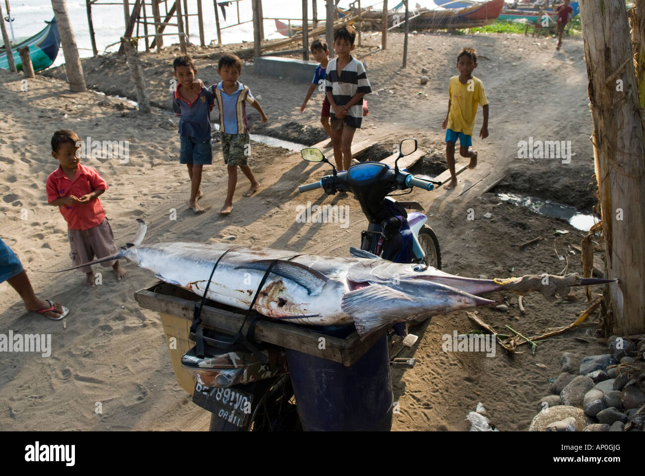 Indian ocean children fish hi-res stock photography and images - Alamy