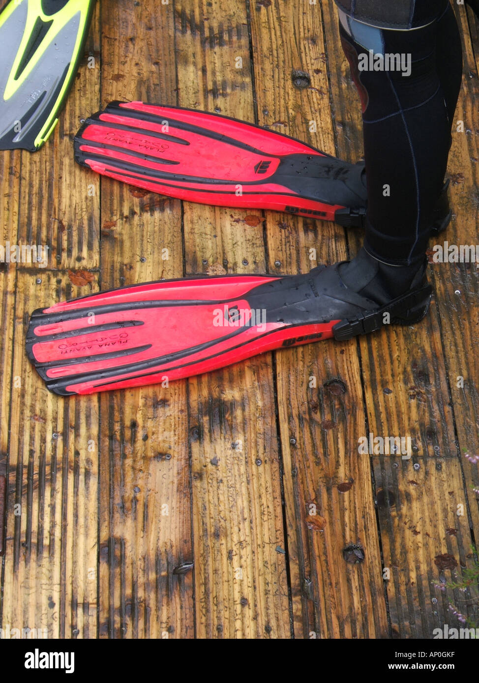 detail of divers feet and flippers Stock Photo - Alamy