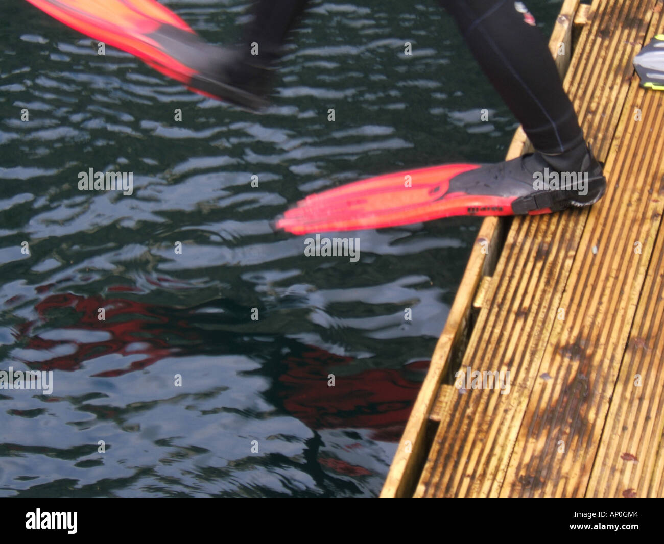 diver jumping into lake Stock Photo - Alamy