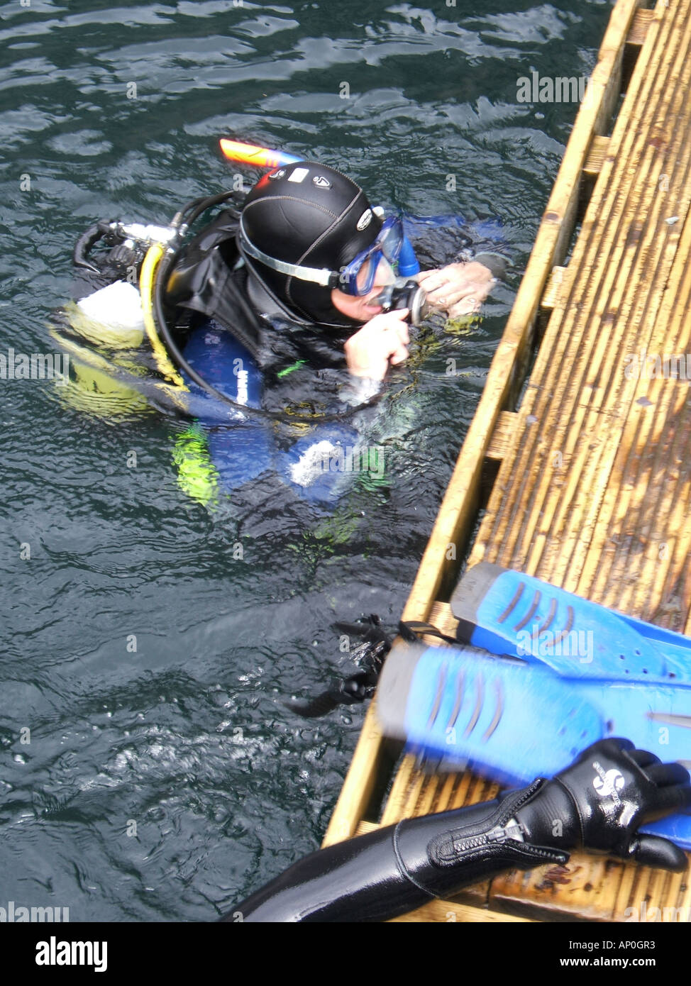 one diver in cold water lake Stock Photo - Alamy