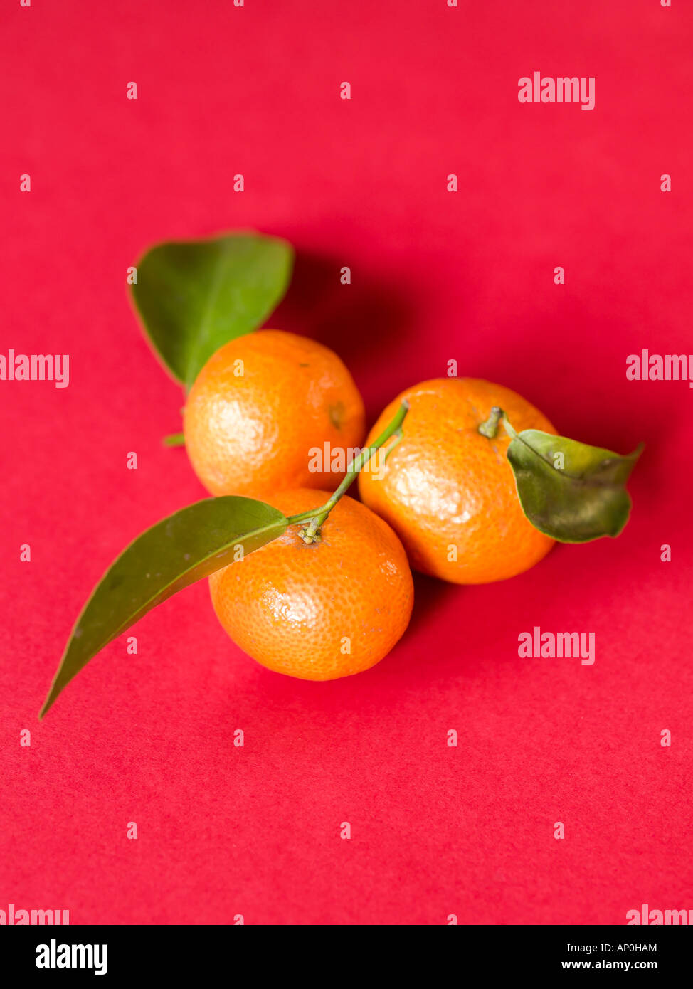 Three red leaves hi-res stock photography and images - Alamy