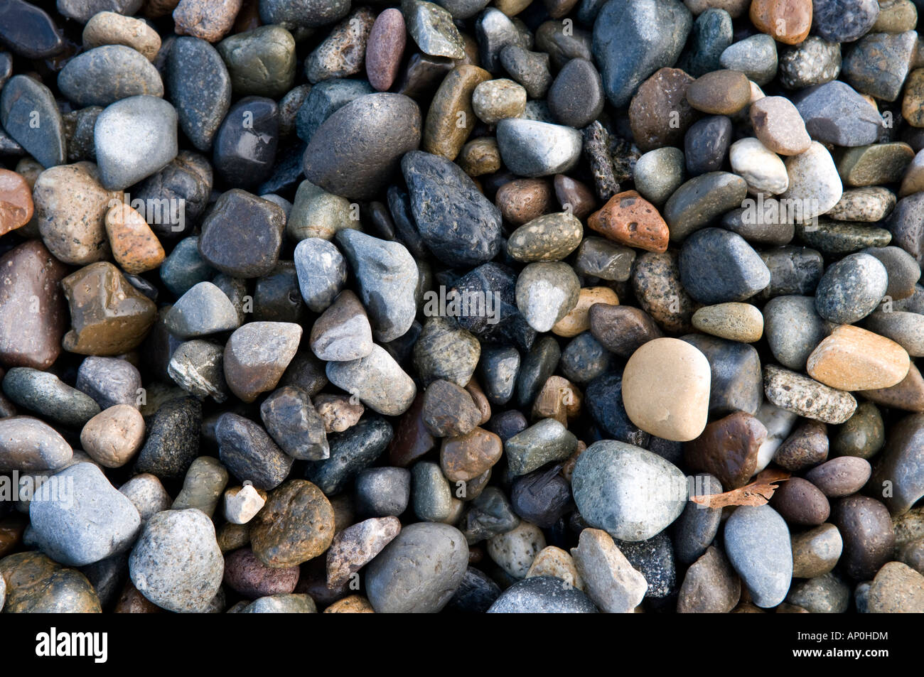Well rounded pebbles on the shore of the Puget Sound in Tacoma ...