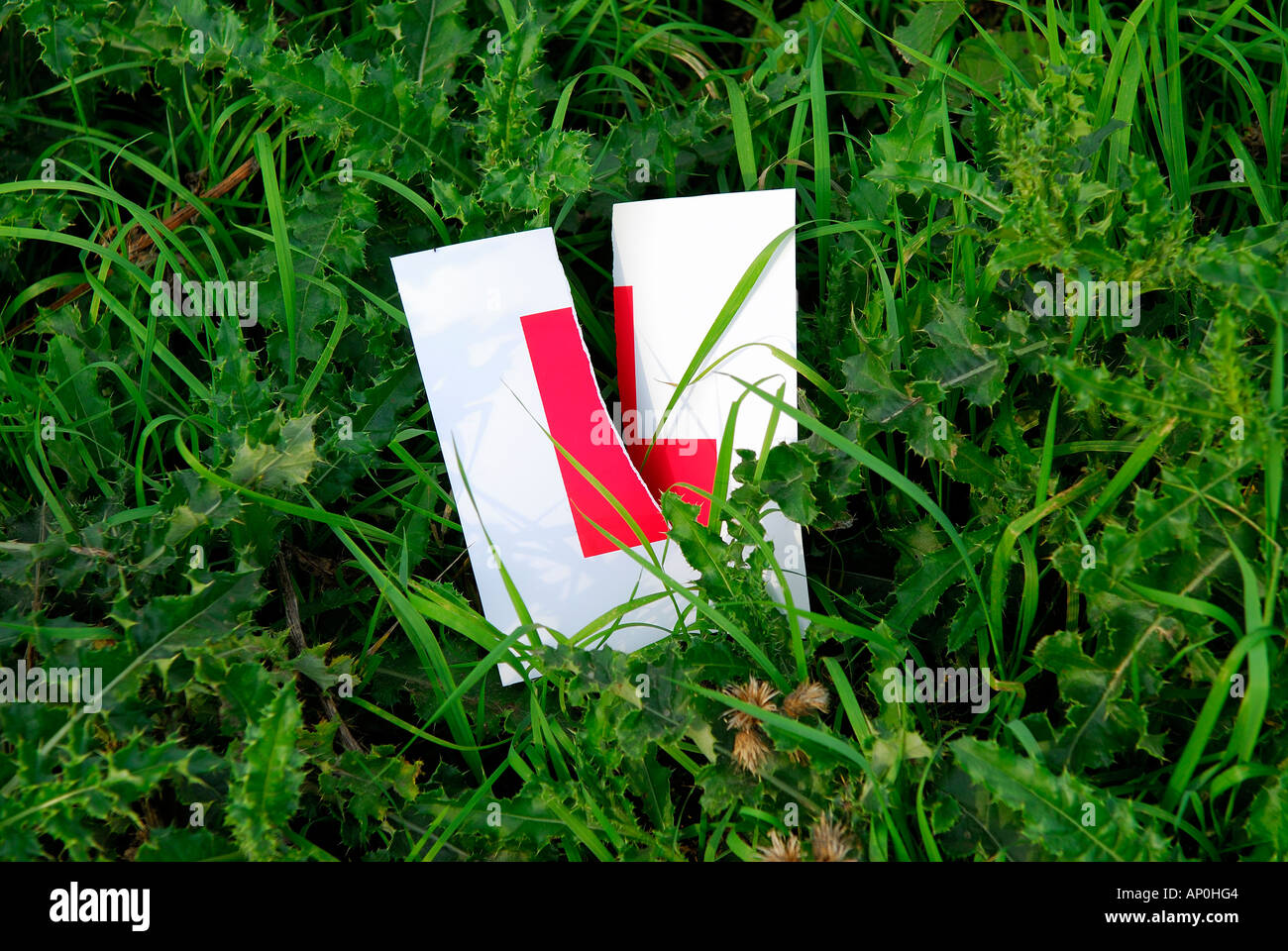 Learner plate ripped hi-res stock photography and images - Alamy