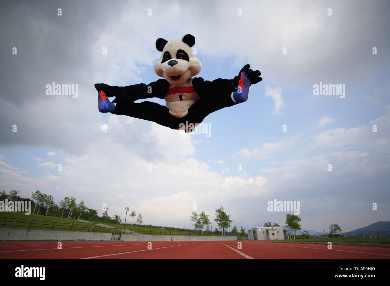 Animal splits hi-res stock photography and images - Alamy