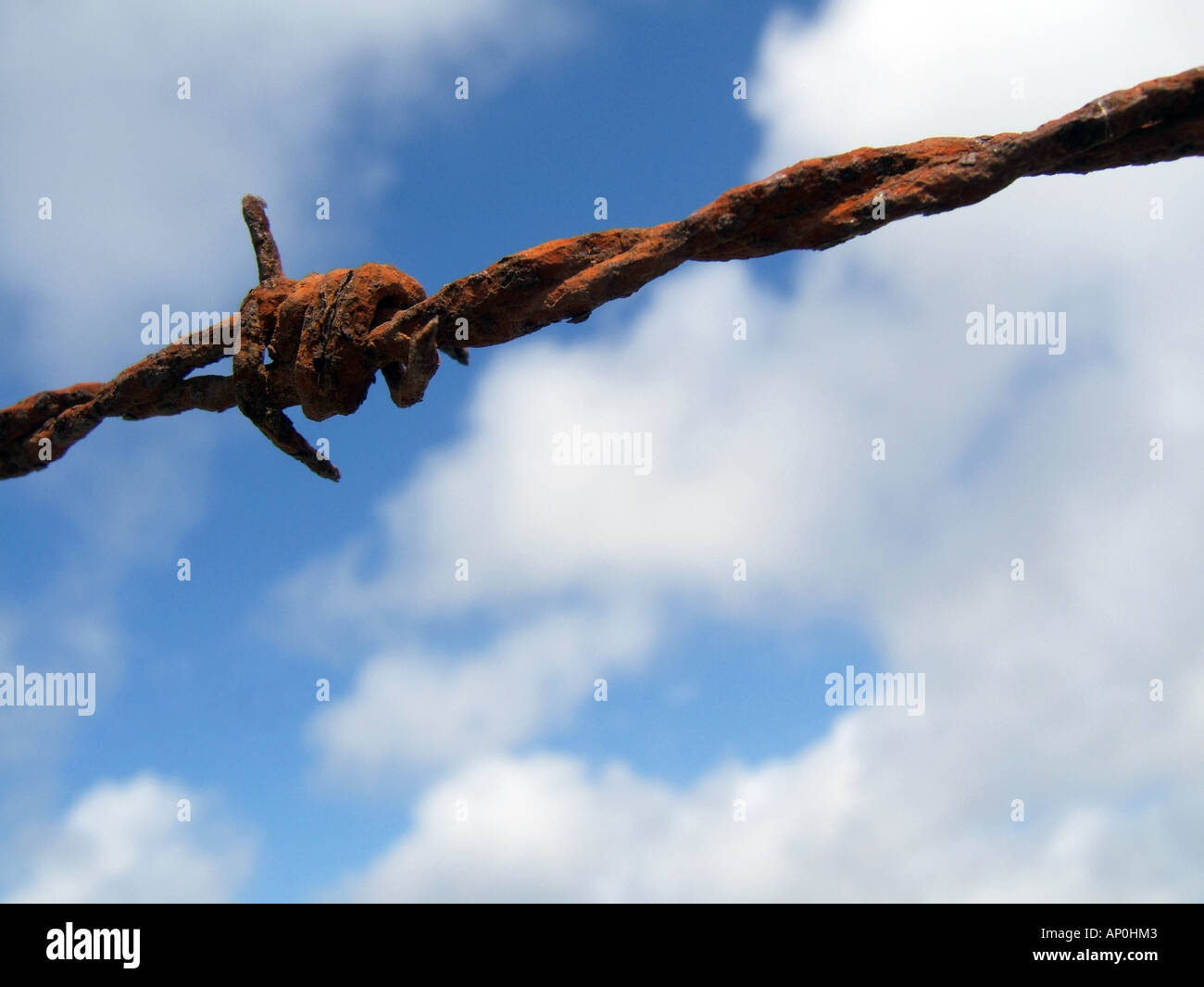 old rusted barbed wire fence Stock Photo - Alamy