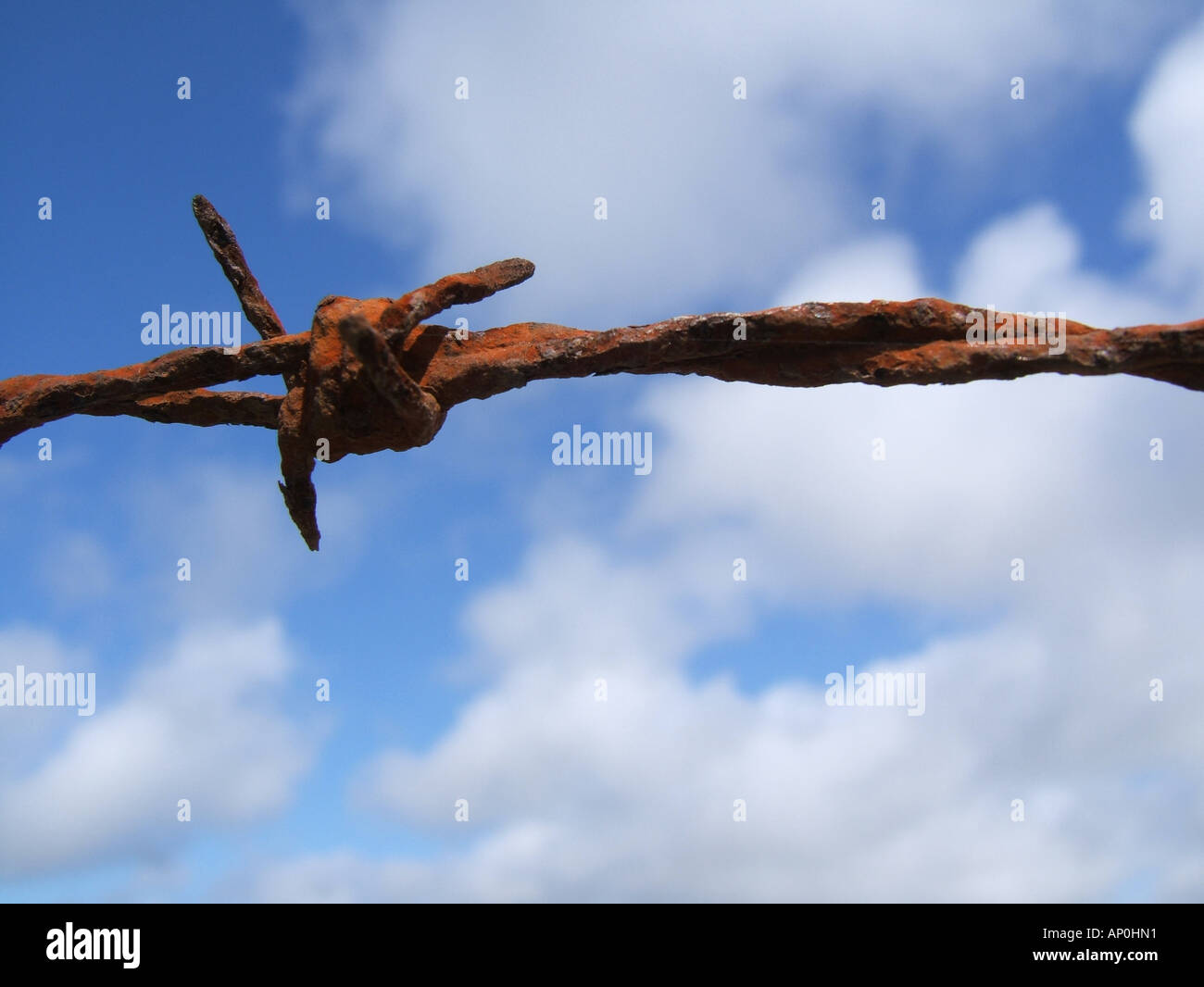 old rusted barbed wire fence Stock Photo - Alamy