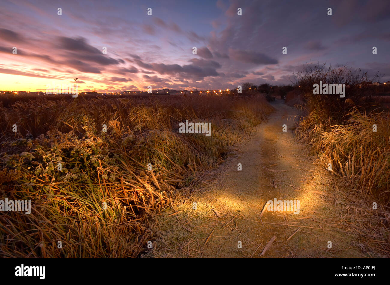 Colourful sunrise over Radipole nature reserve in Weymouth Dorset UK ...
