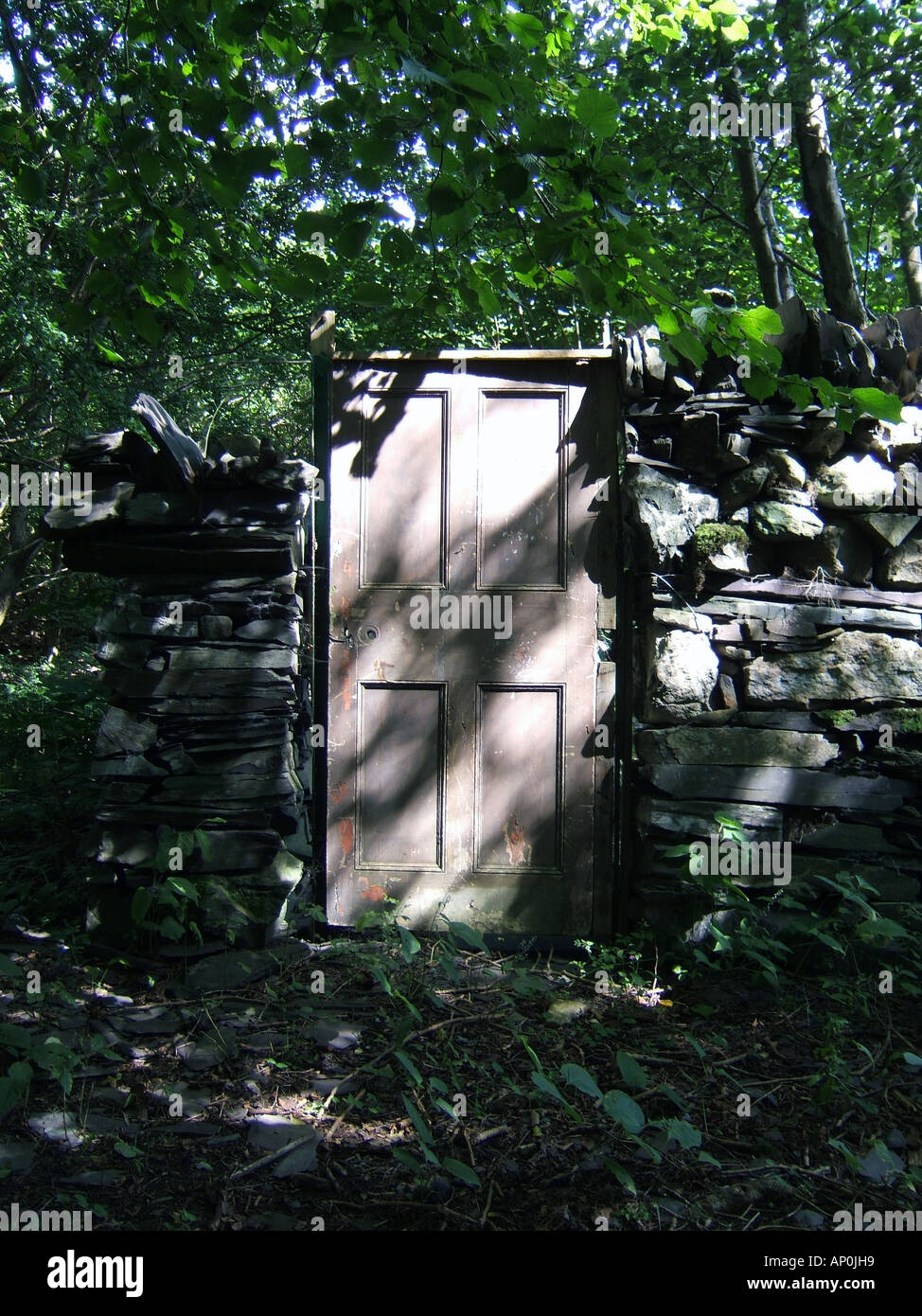 old wooden door in forest Stock Photo - Alamy