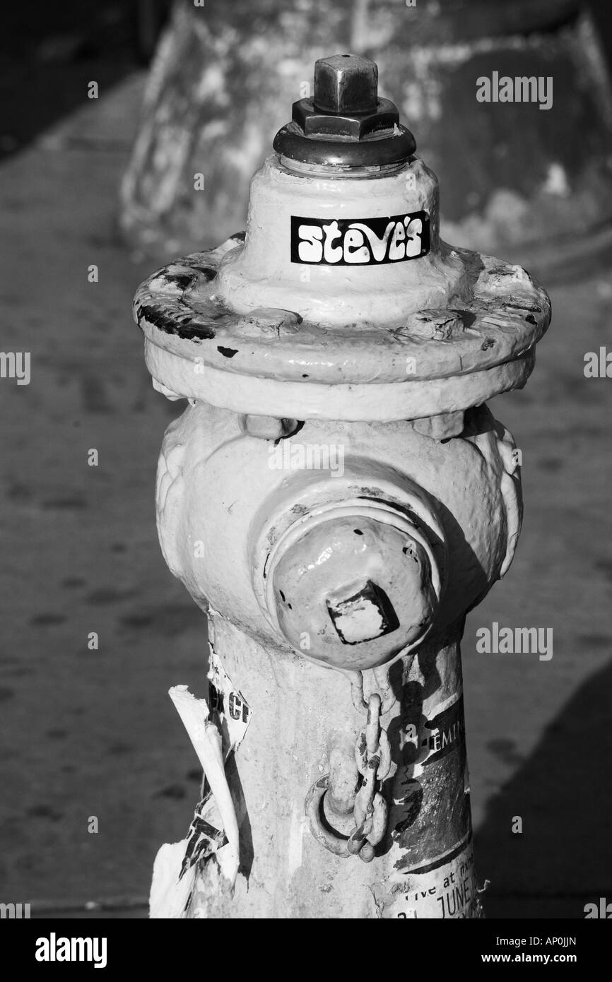 Steve's Fire Hydrant Downtown Toronto Ontario Canada Stock Photo - Alamy