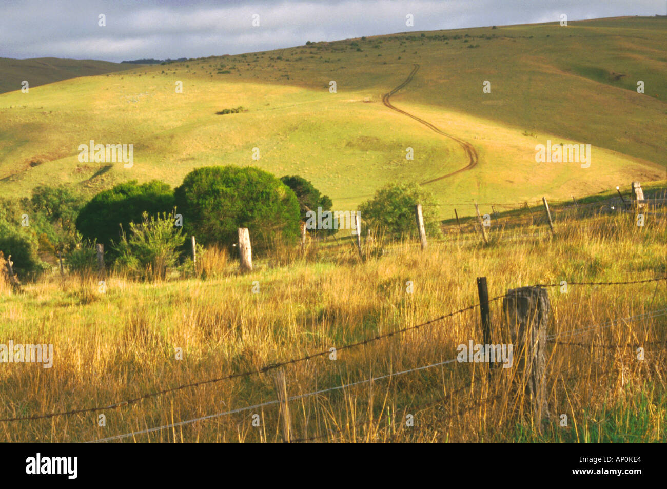 Country hills hi-res stock photography and images - Alamy