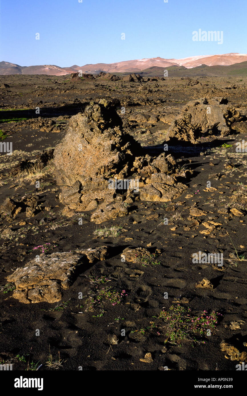Old lava flow Iceland Stock Photo - Alamy