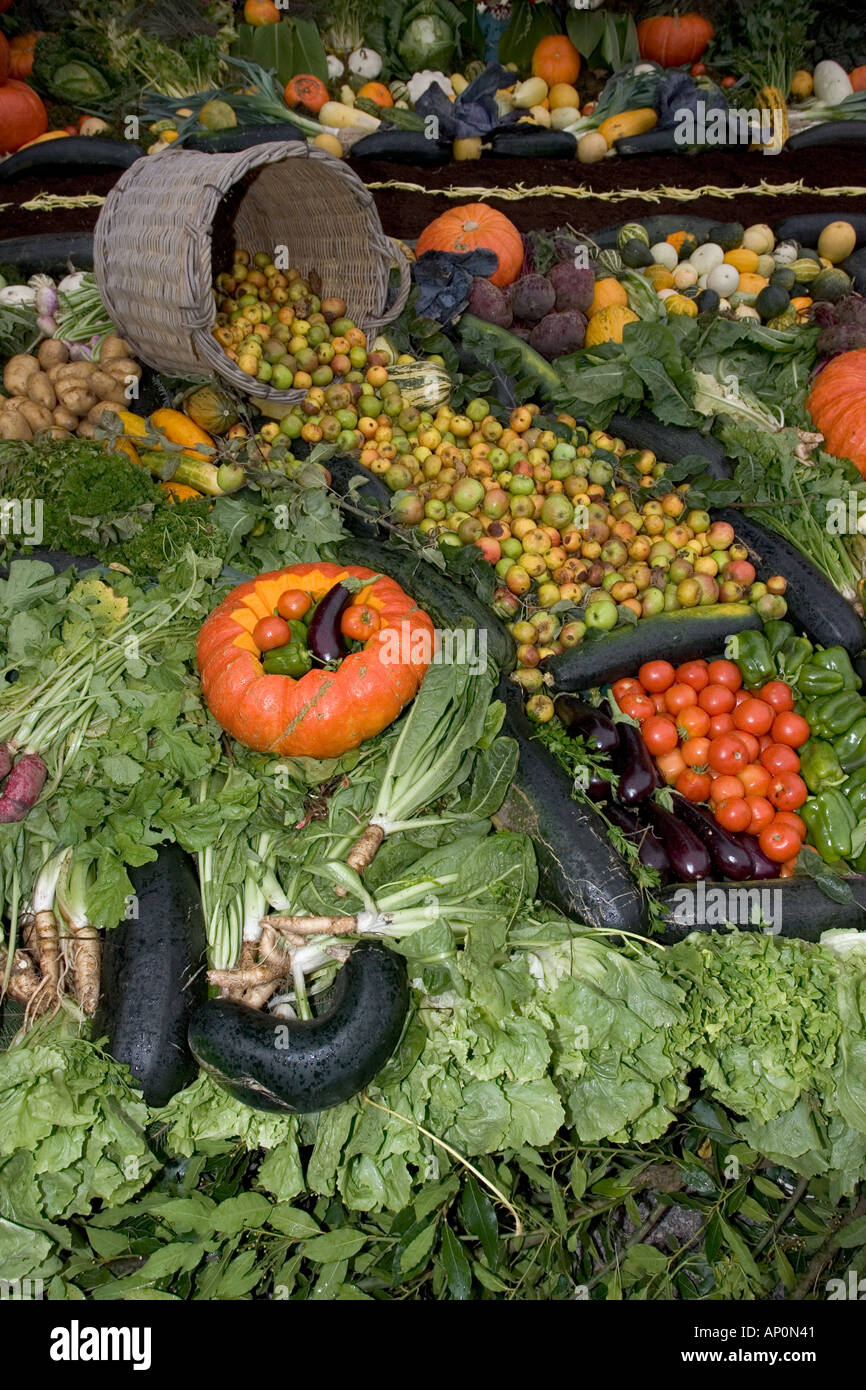 Huge fruit and vegetable display Cider Fayre Caudebec en Caux on River ...