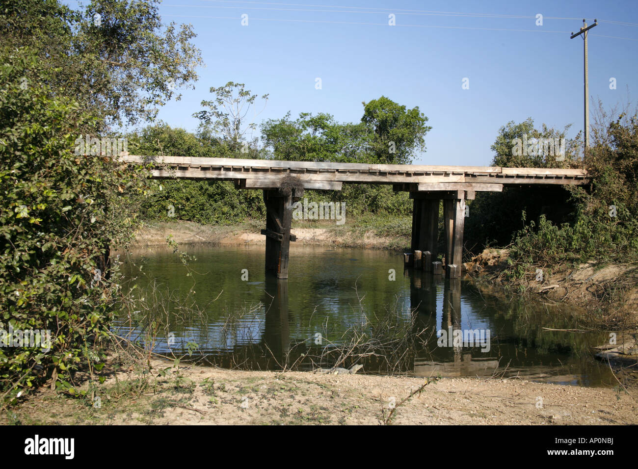 Bridge pantanal hi-res stock photography and images - Alamy
