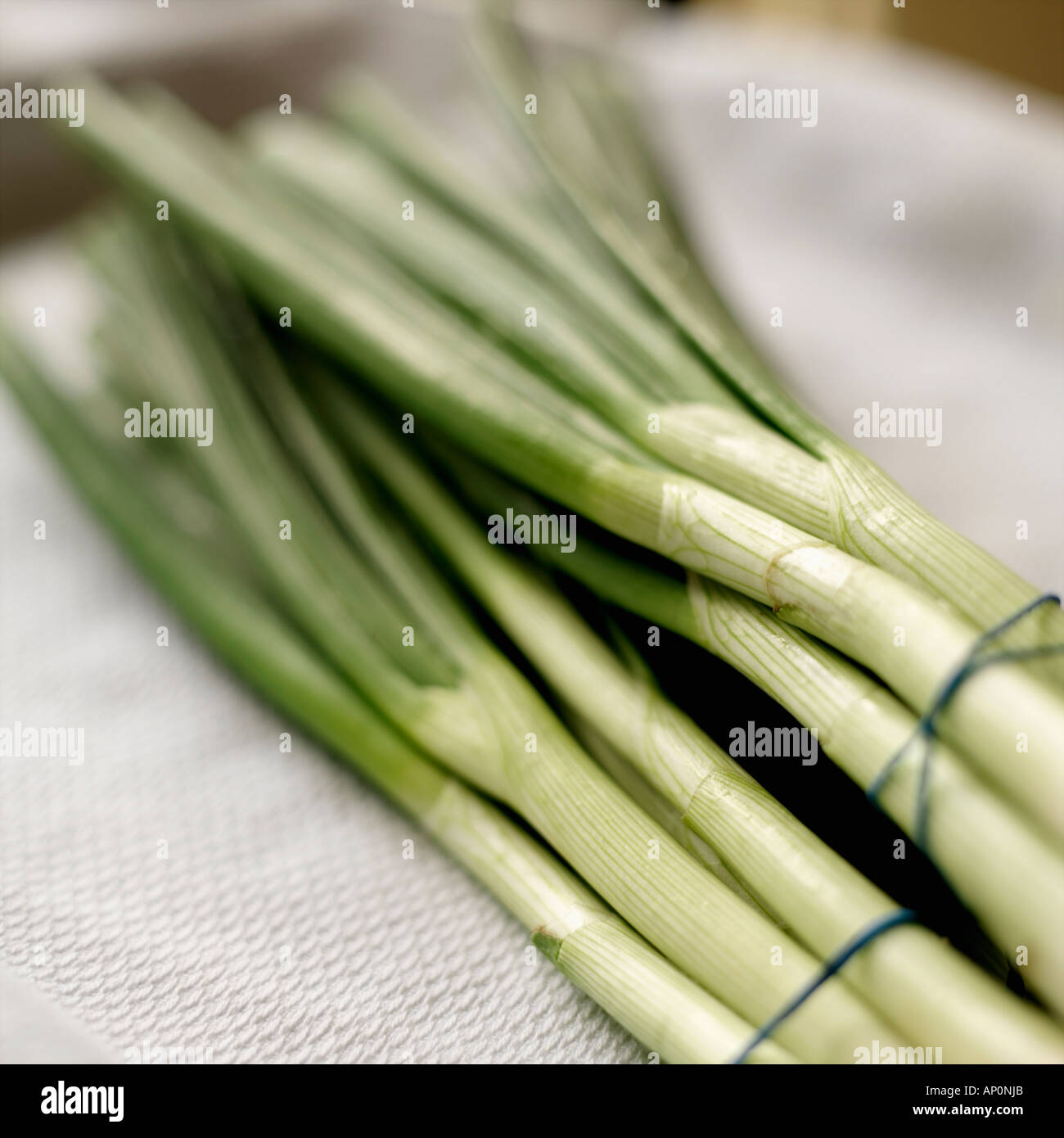 Bundles Of Spring Onion High Resolution Stock Photography and Images ...